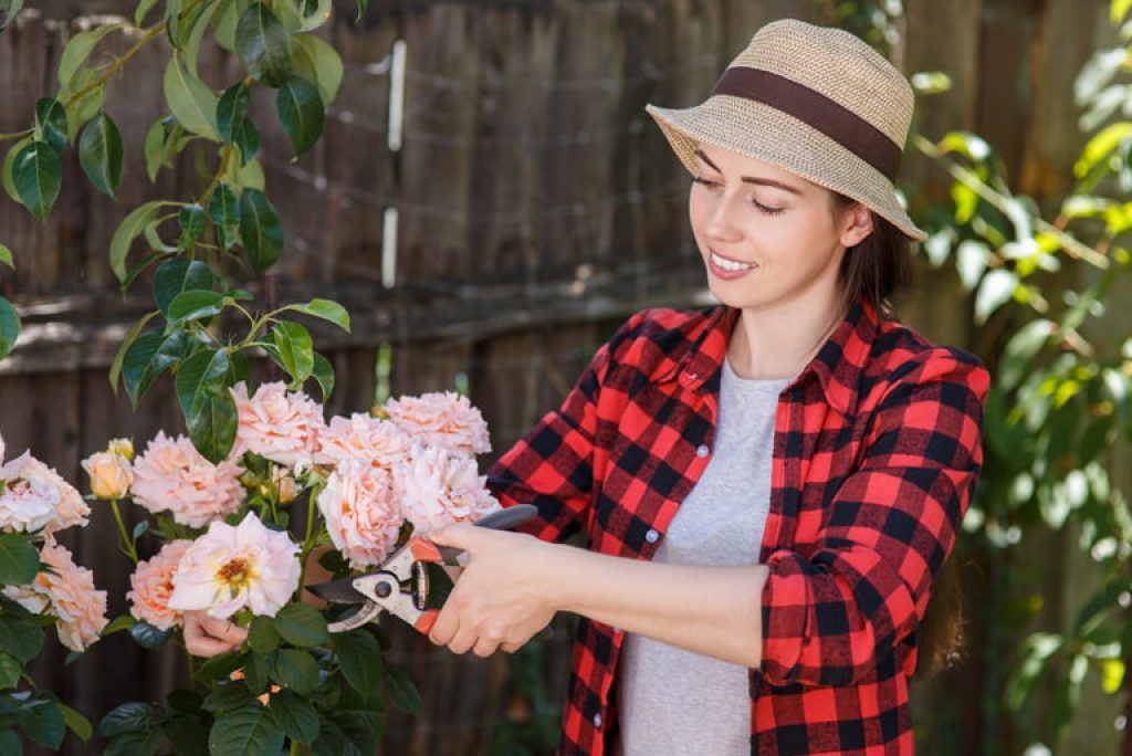 The Best Secateurs for Pruning Your Garden - Our 2022 Guide