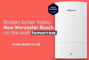 BOXT Review » Appliance Reviewer