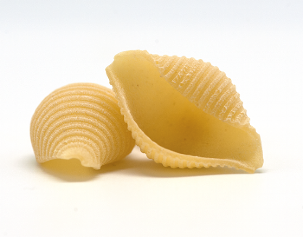 The Most Popular Pasta Shapes Available » Appliance Reviewer